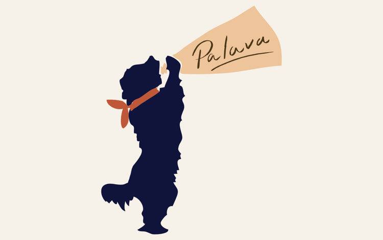 Palava Clothing UK | Official Website & Online Shop