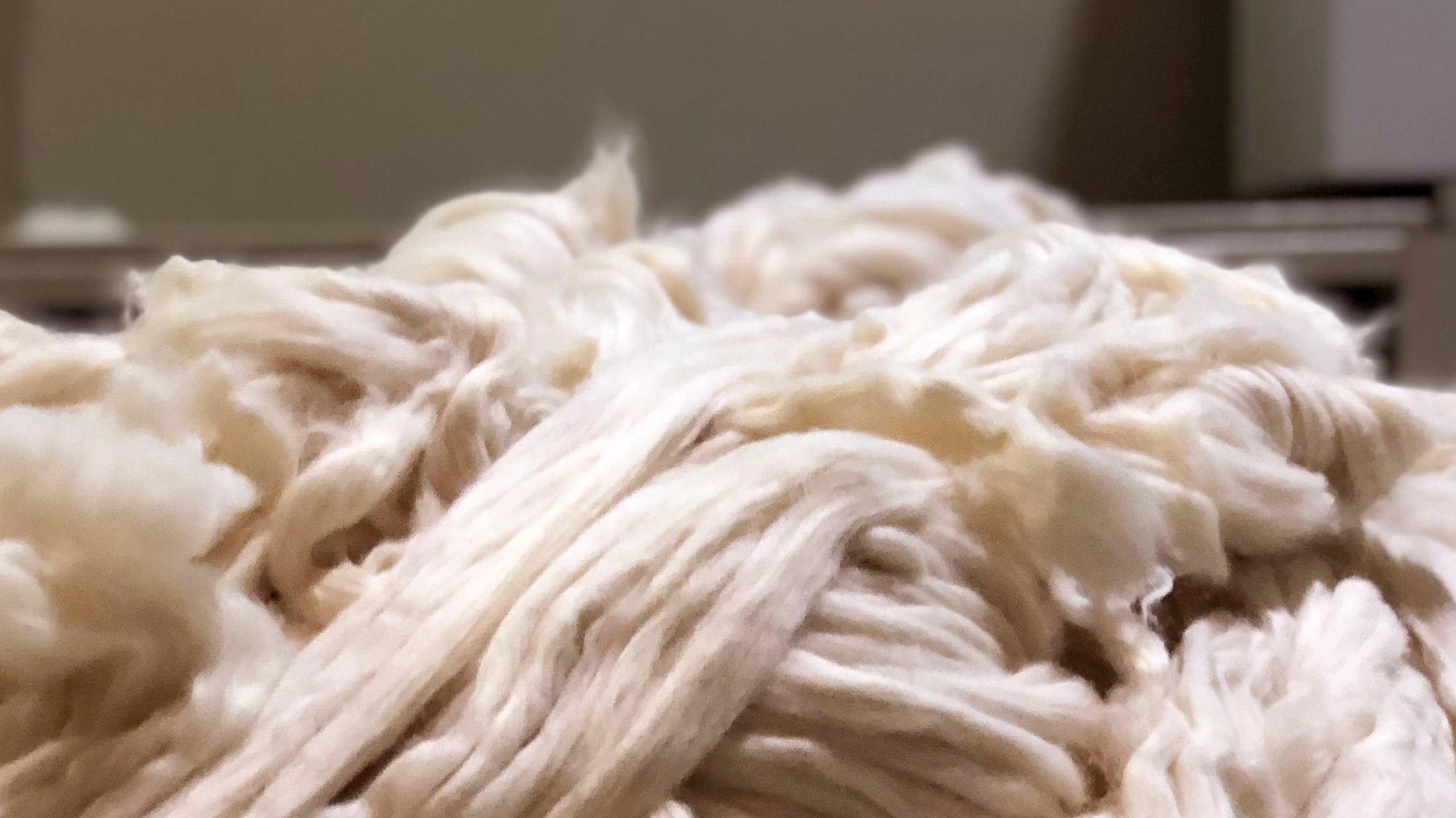 Palava Clothing UK | Official Website & Online Shop