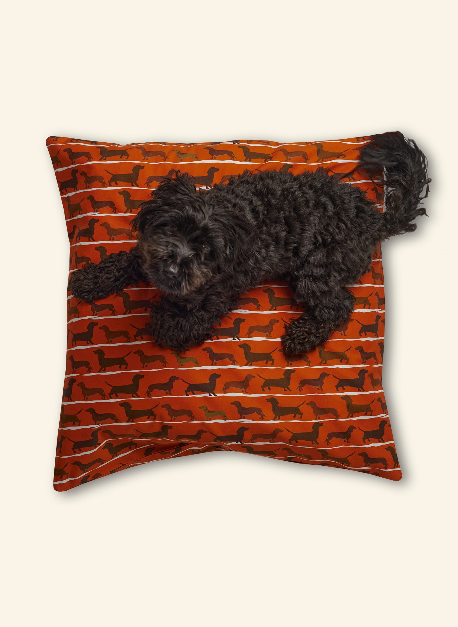 Green Dog Bed - Dogs Print | 100% British Wool | Made in UK