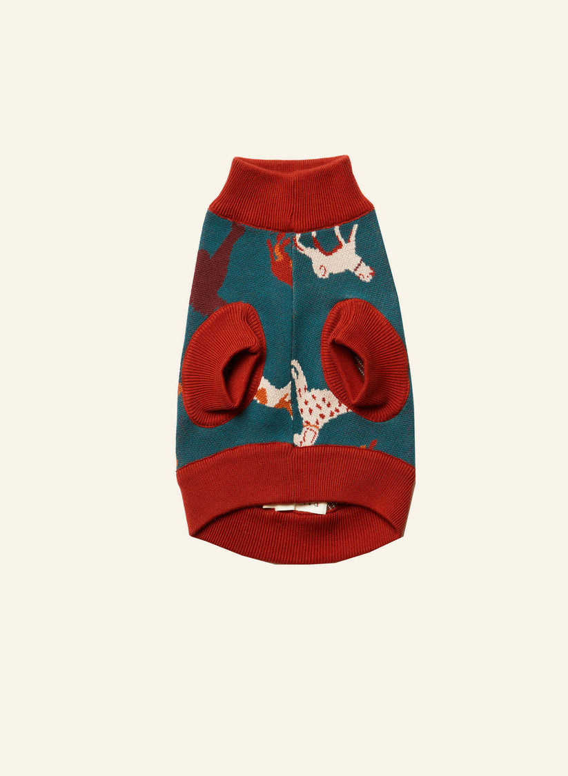 Teal & Red Dog Jumper with Dog Print | 100% Organic Cotton | UK